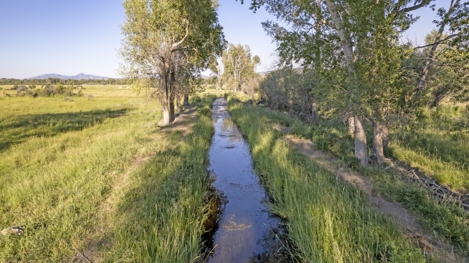 Clear Springs Ranch | Whitehall Montana | Fay Ranches