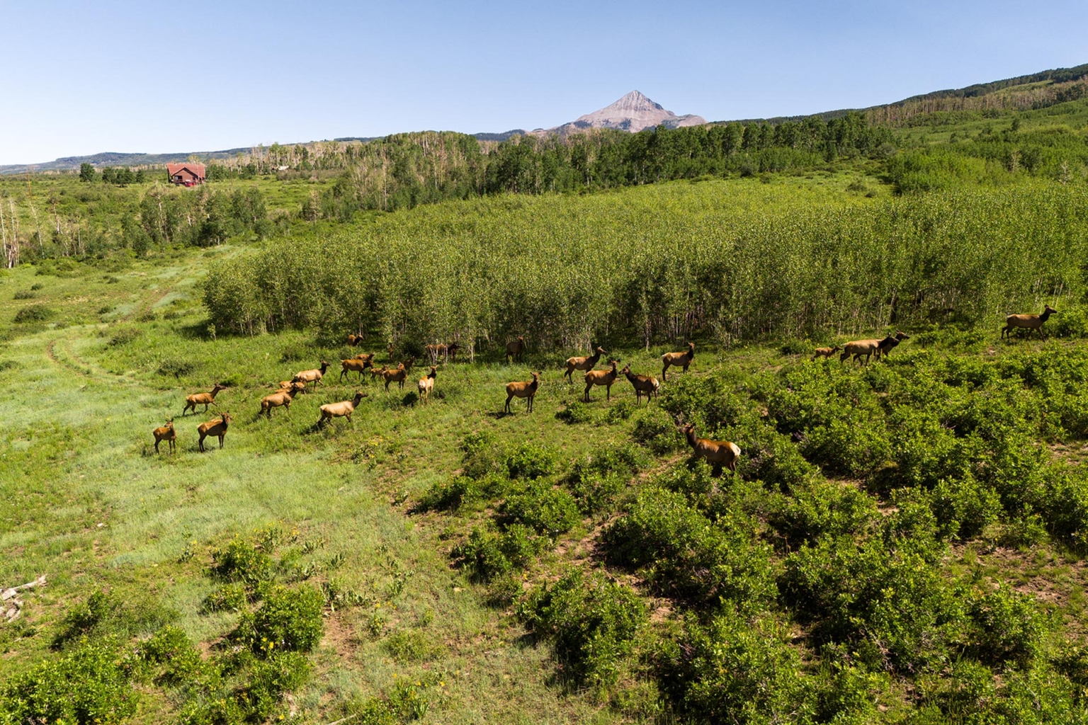 Brumley Aspen Waters Ranch | Dunton Colorado | Fay Ranches