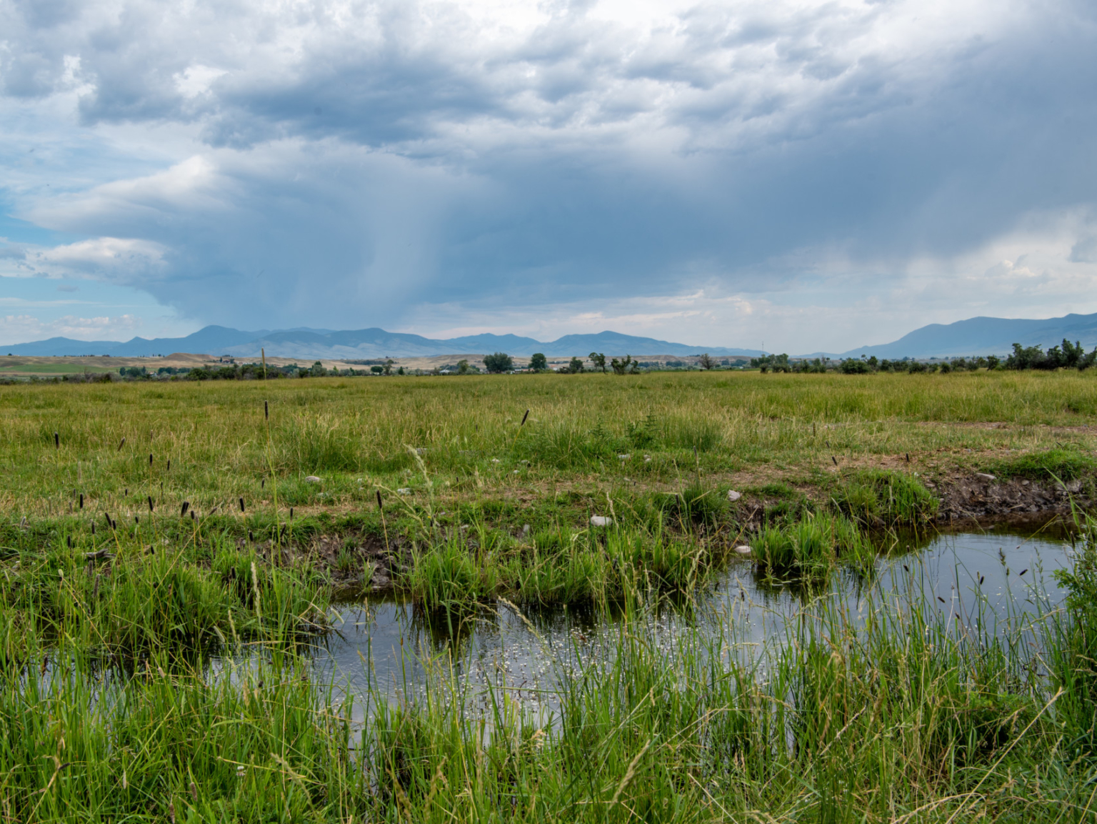 Clear Springs Ranch | Whitehall Montana | Fay Ranches