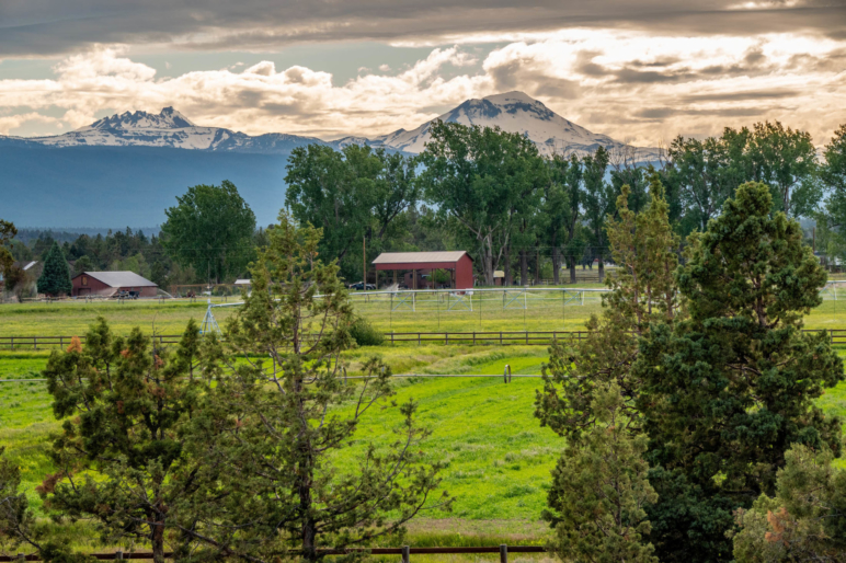 Wild Horse Trail Farm at Deschutes River Ranch | Bend Oregon | Fay Ranches