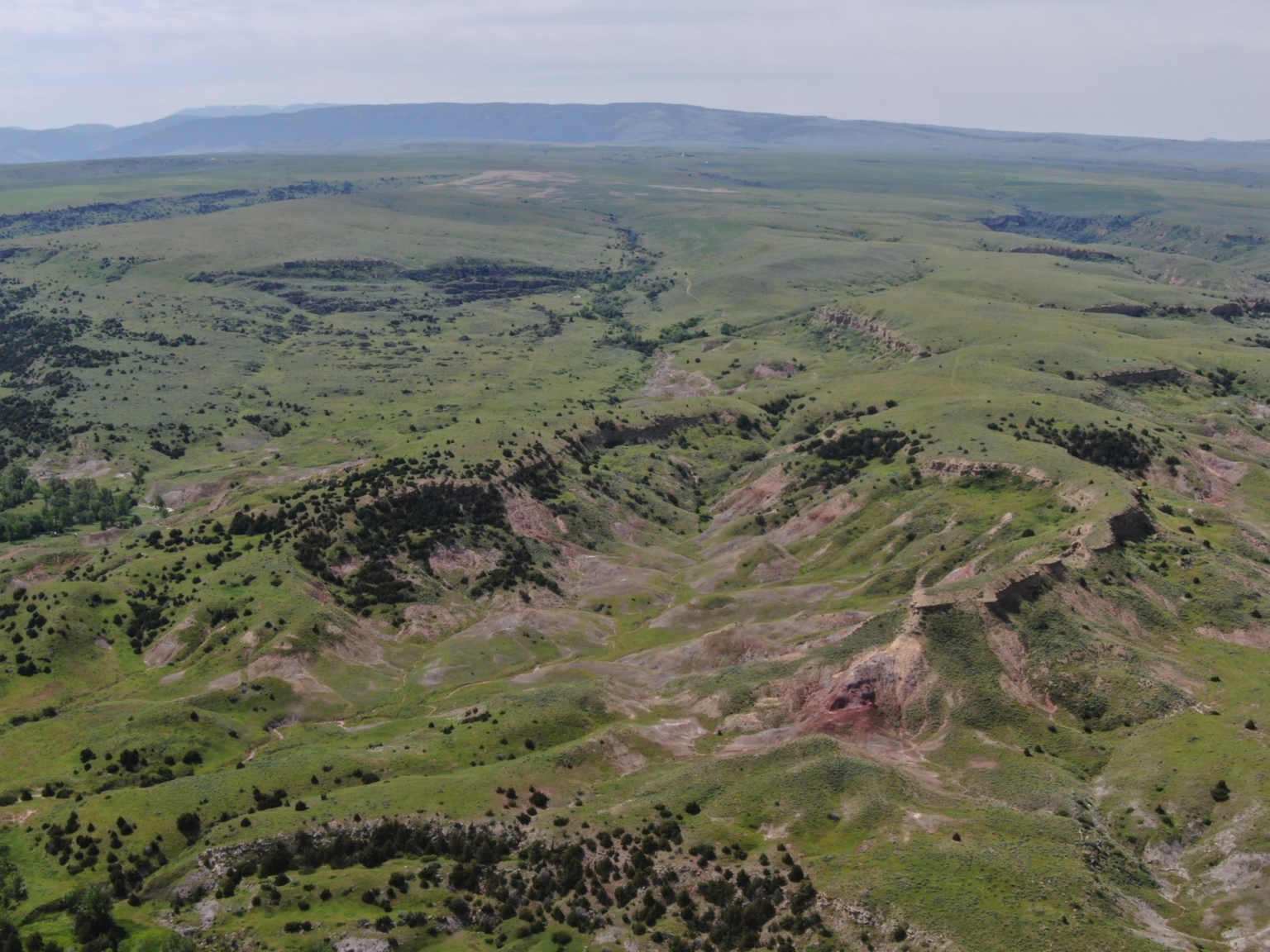 Velociraptor Ranch | Billings Montana | Fay Ranches