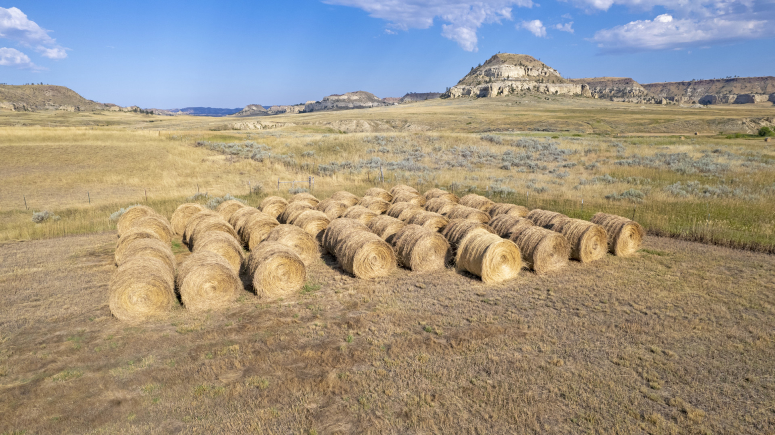Golder Ranch on Rosebud Creek | Colstrip Montana | Fay Ranches