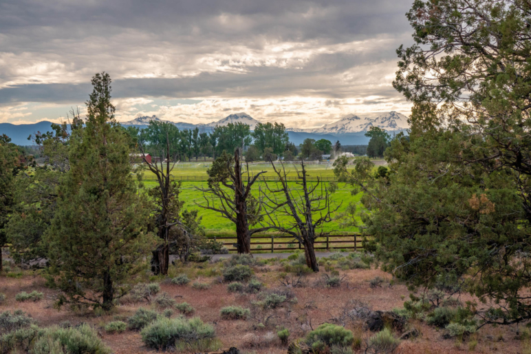Wild Horse Trail Farm at Deschutes River Ranch | Bend Oregon | Fay Ranches