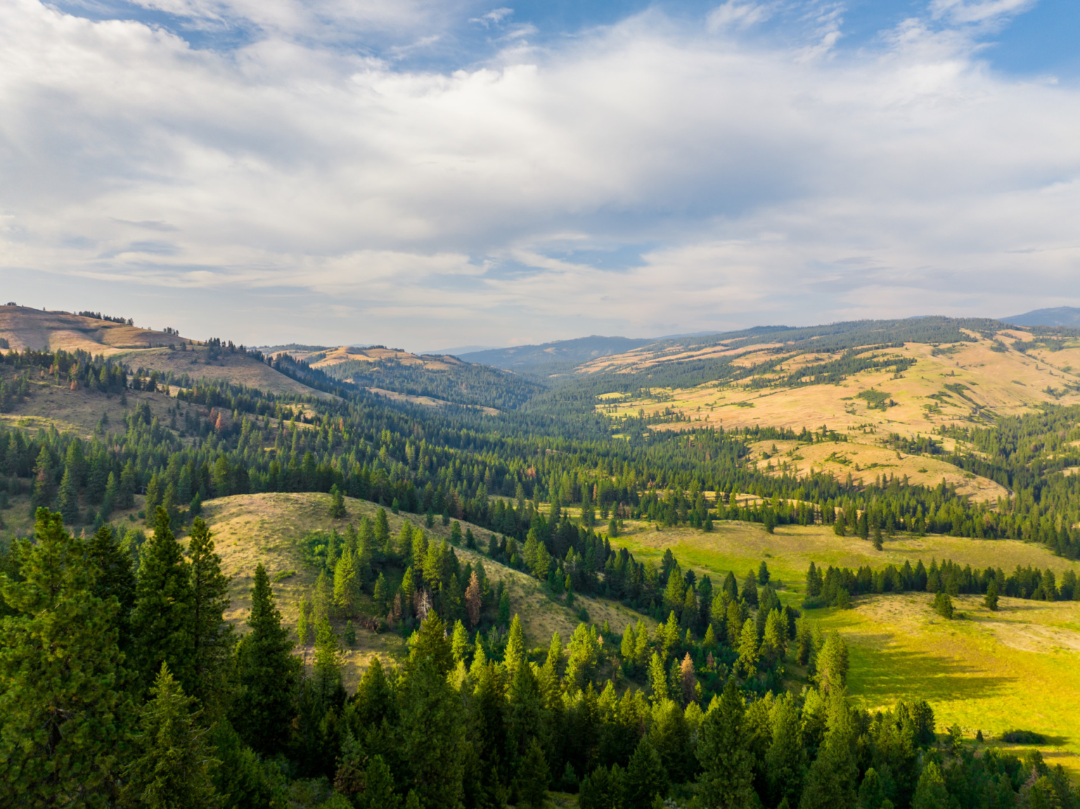 Sanctuary on Third Fork | Ola Idaho | Fay Ranches
