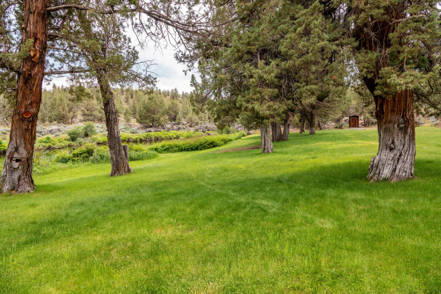 Wild Horse Trail Farm at Deschutes River Ranch | Bend Oregon | Fay Ranches