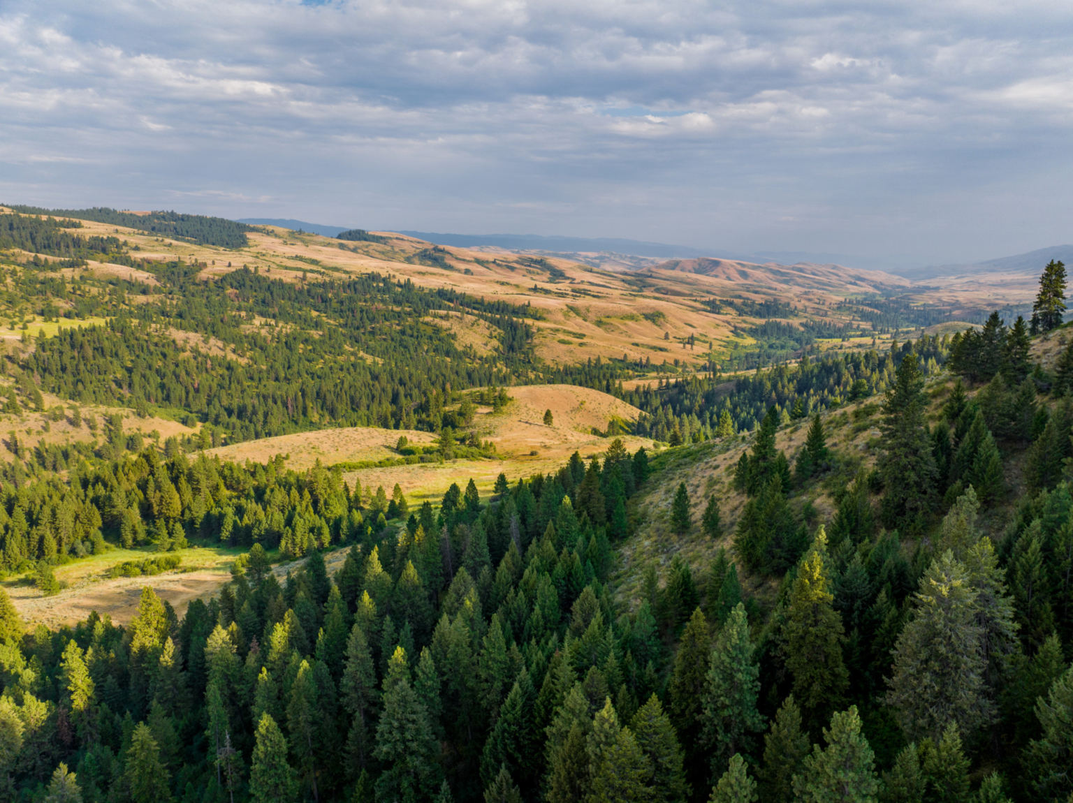 Sanctuary on Third Fork | Ola Idaho | Fay Ranches