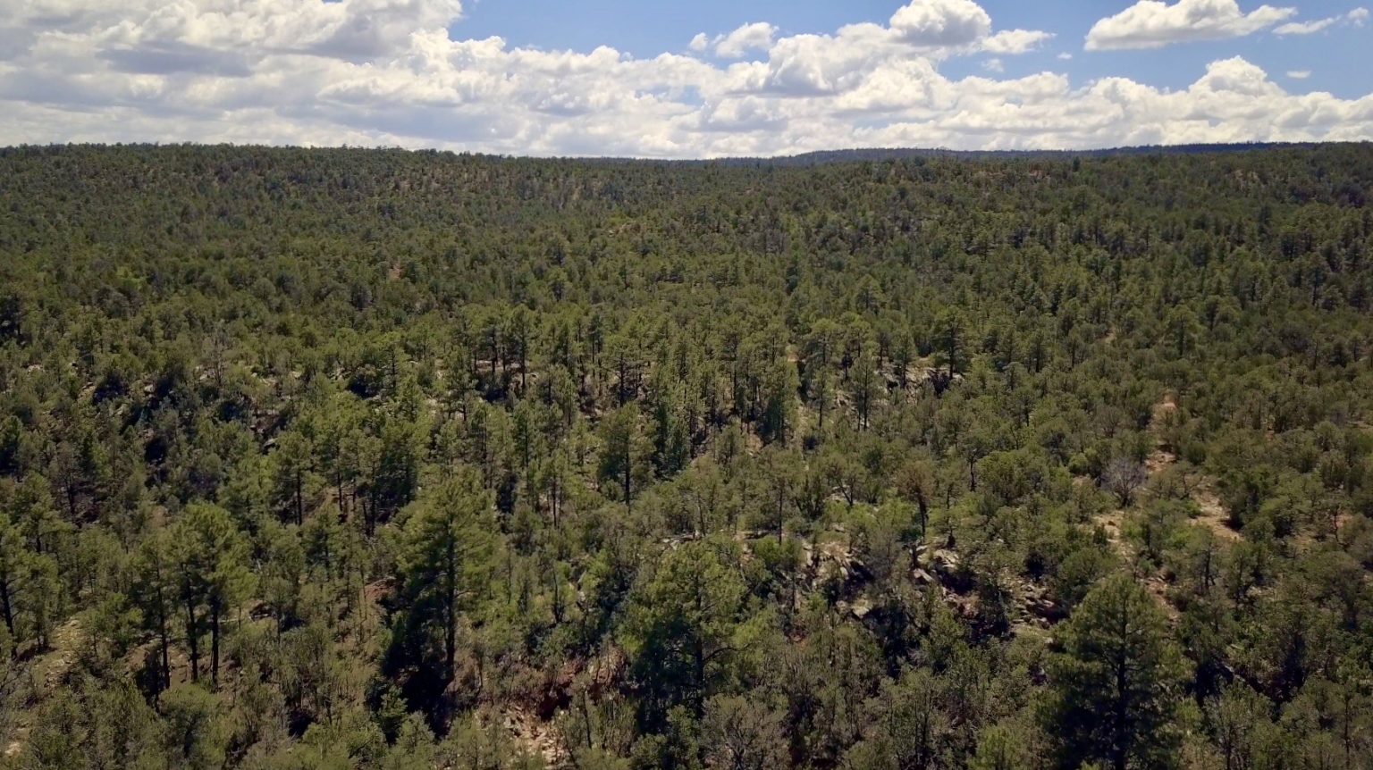 Mesa Springs Ranch | Ribera New Mexico | Fay Ranches