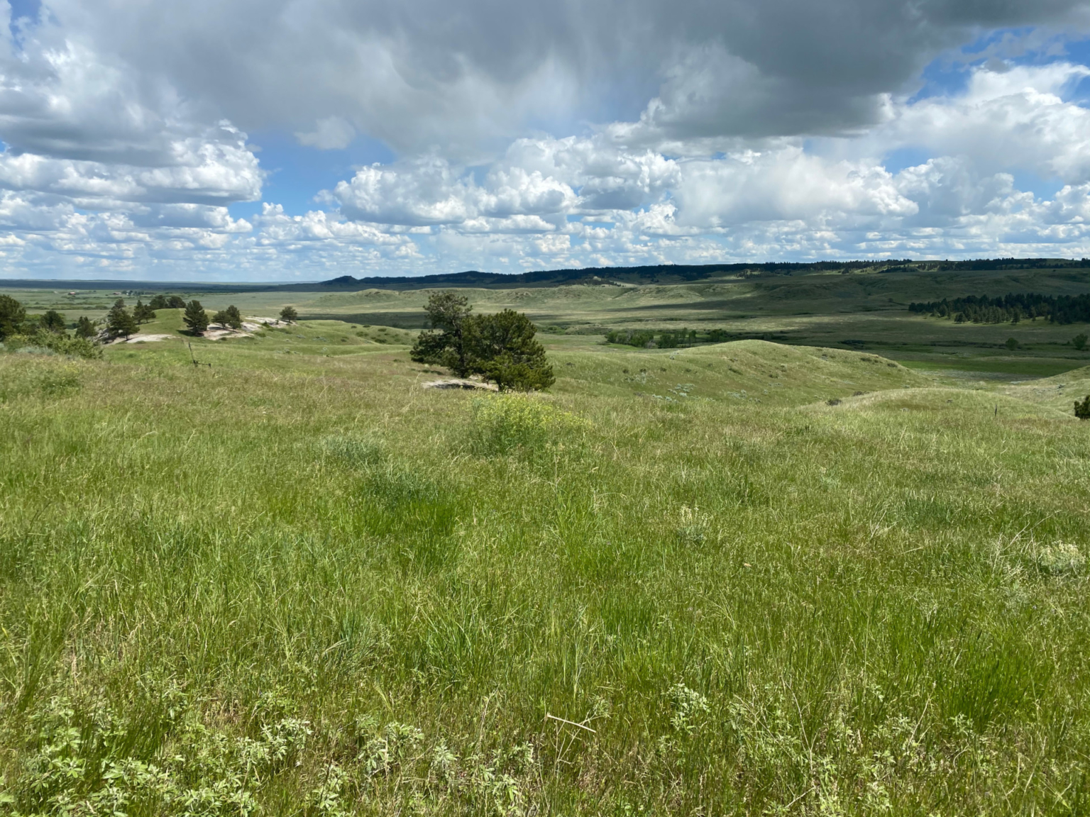 Paradise Coulee Ranch | Teigen Montana | Fay Ranches
