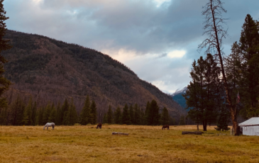 JW Robinson | Wyoming Sales Associate | Fay Ranches