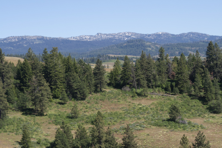 Branch Keyhole Ranch | Midvale Idaho | Fay Ranches