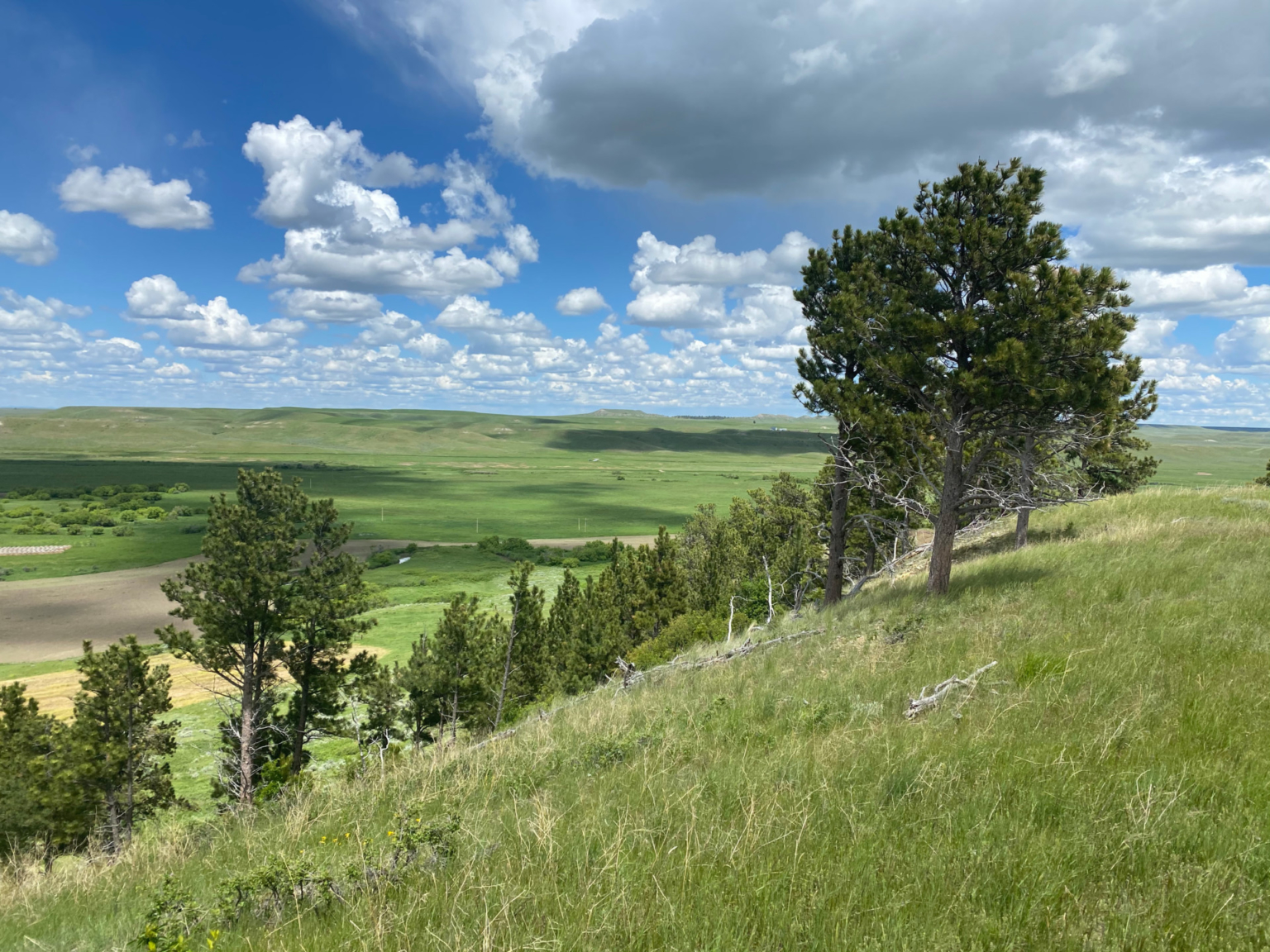 Paradise Coulee Ranch | Teigen Montana | Fay Ranches