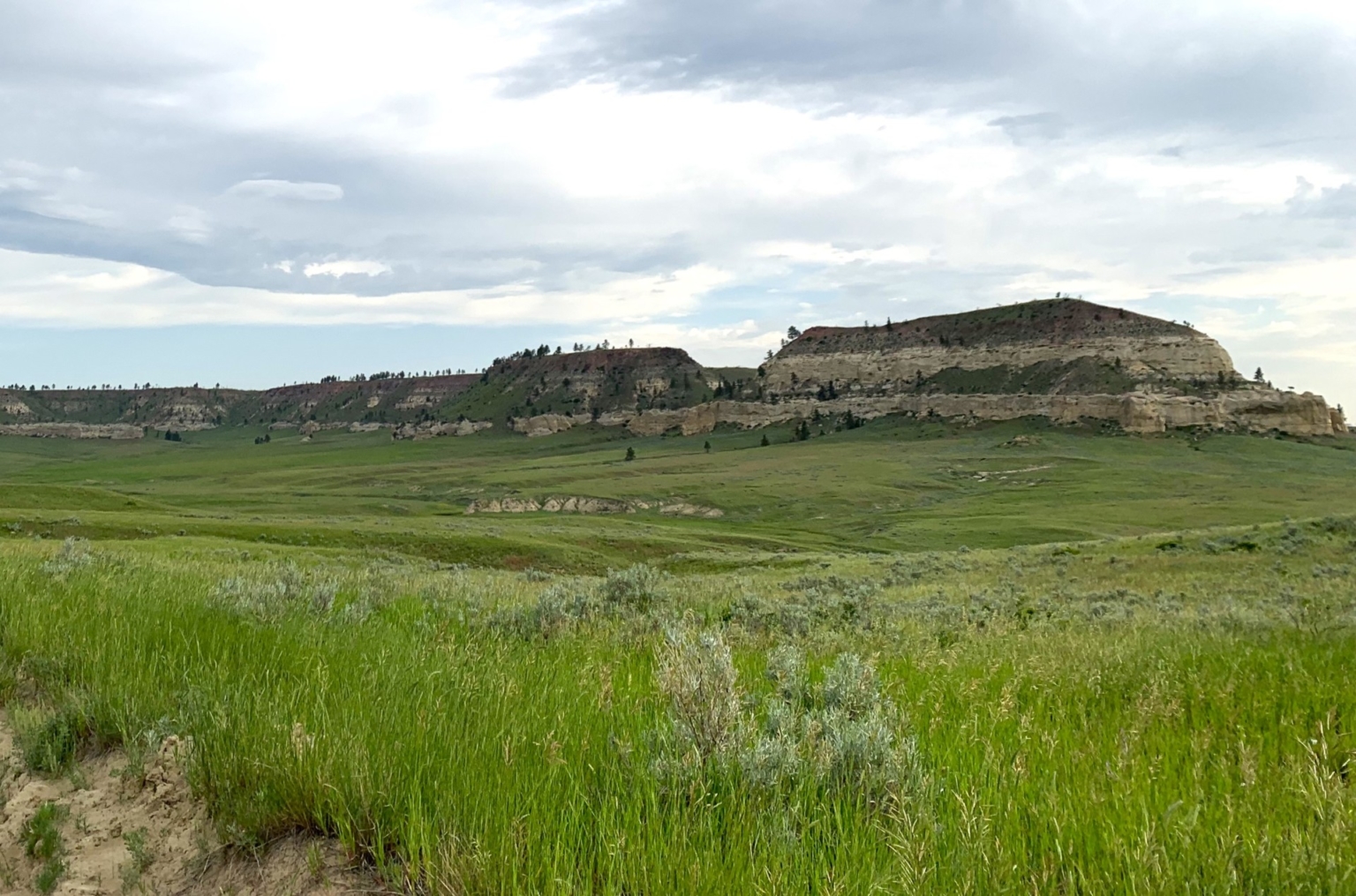 Golder Ranch on Rosebud Creek | Colstrip Montana | Fay Ranches