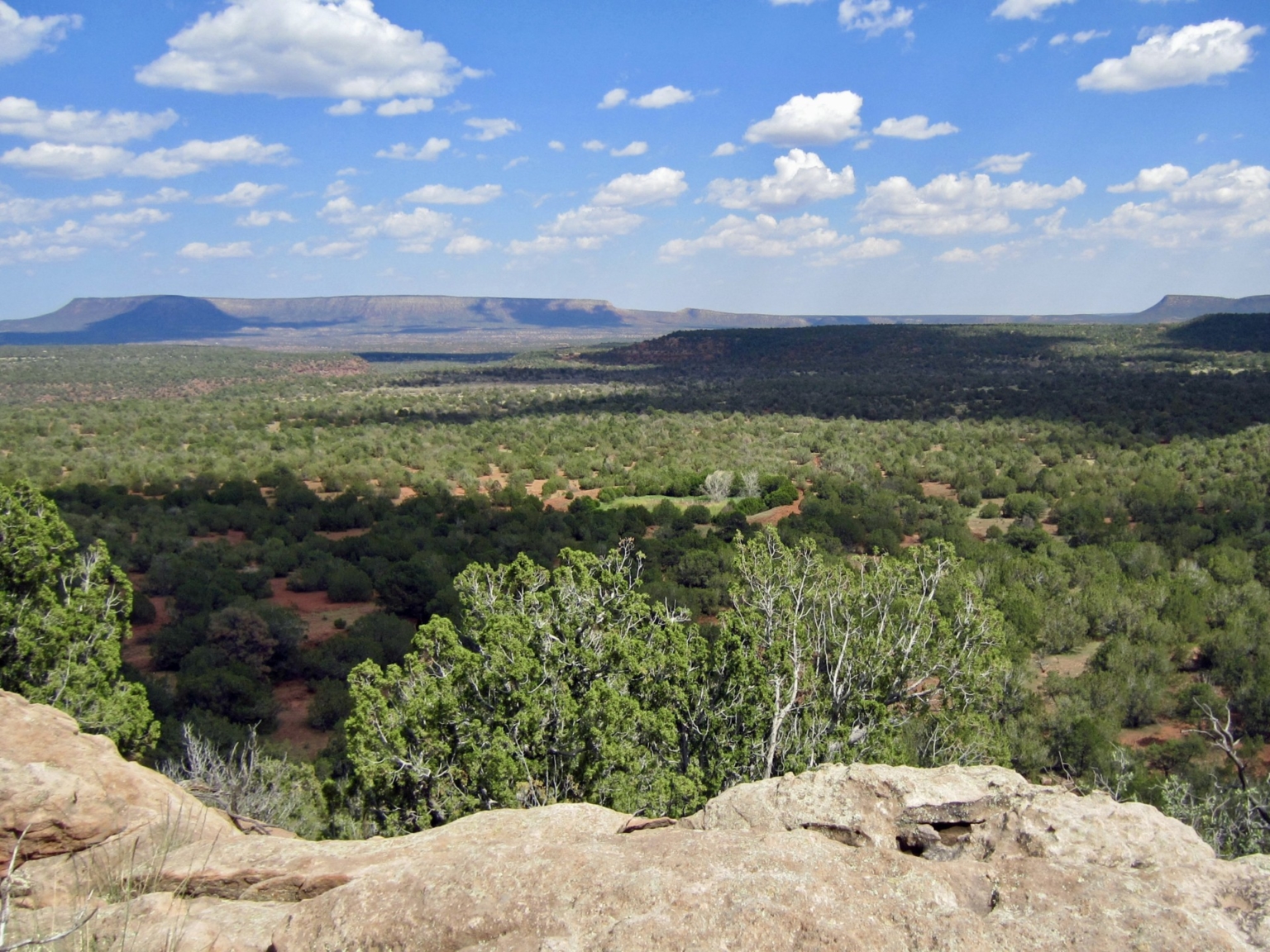 Mesa Springs Ranch | Ribera New Mexico | Fay Ranches