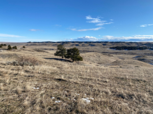 Paradise Coulee Ranch | Teigen Montana | Fay Ranches