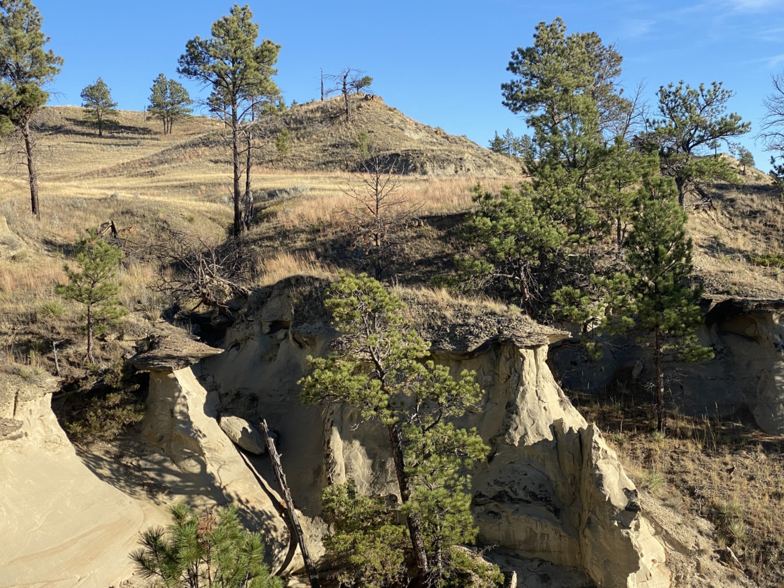 Missouri River Breaks Wolf Creek Ranch | Sand Springs Montana | Fay Ranches