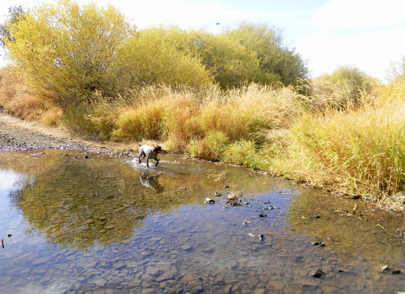 Branch Keyhole Ranch | Midvale Idaho | Fay Ranches