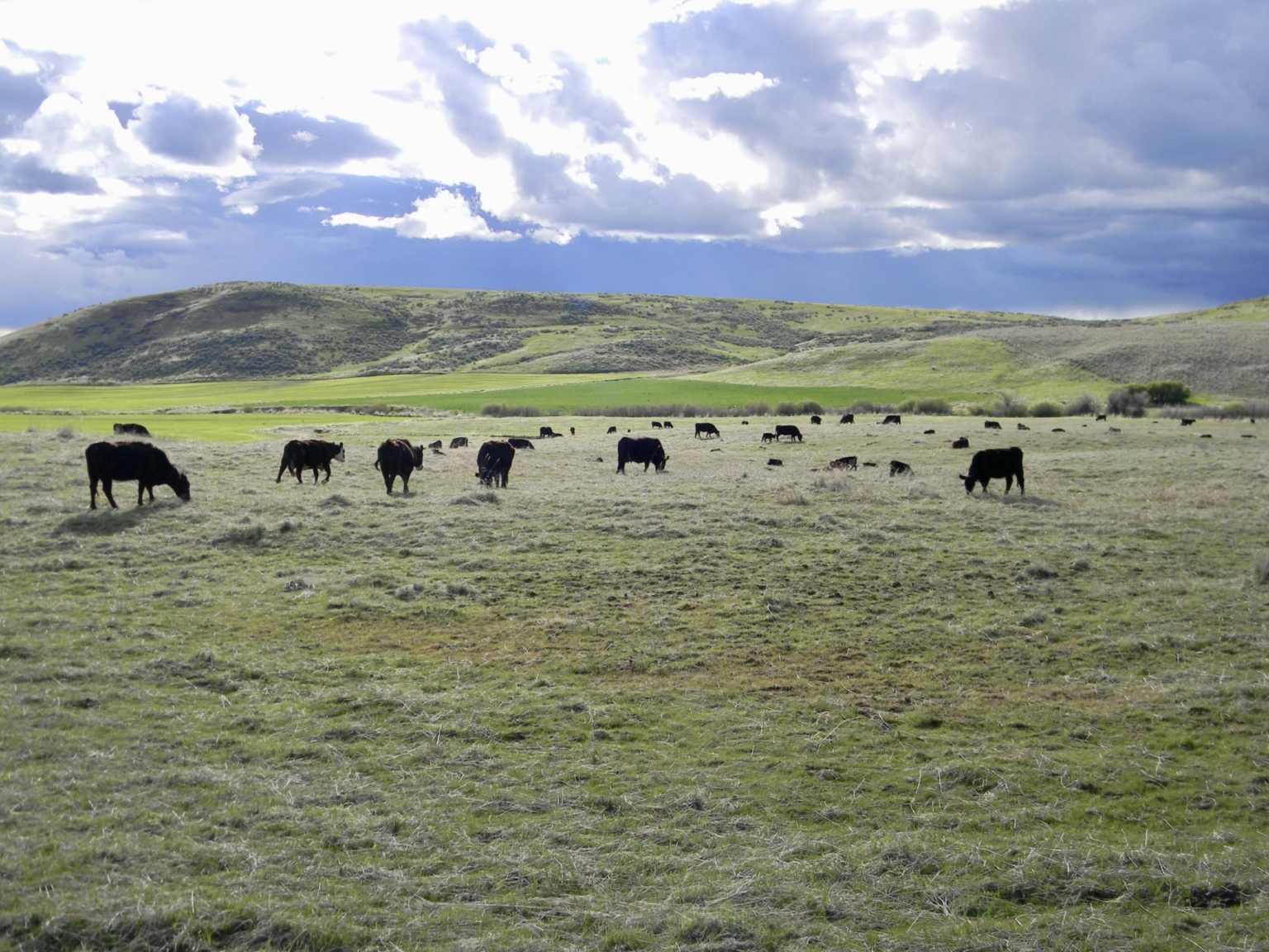 Branch Keyhole Ranch | Midvale Idaho | Fay Ranches