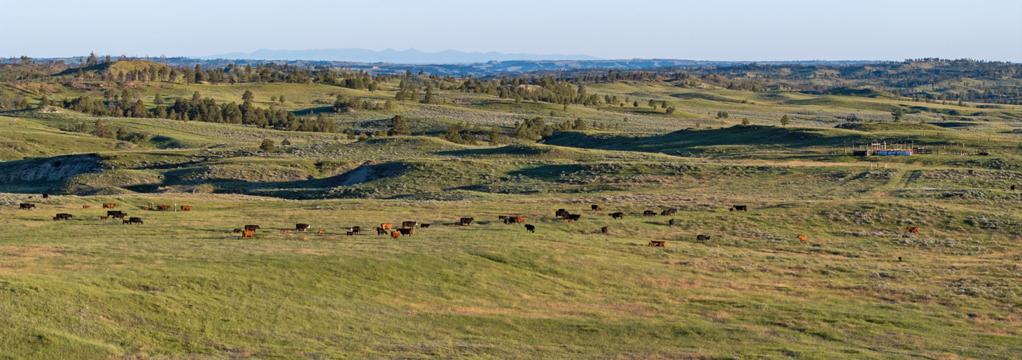 Missouri River Breaks Square Butte Ranch | Sand Springs Montana | Fay ...