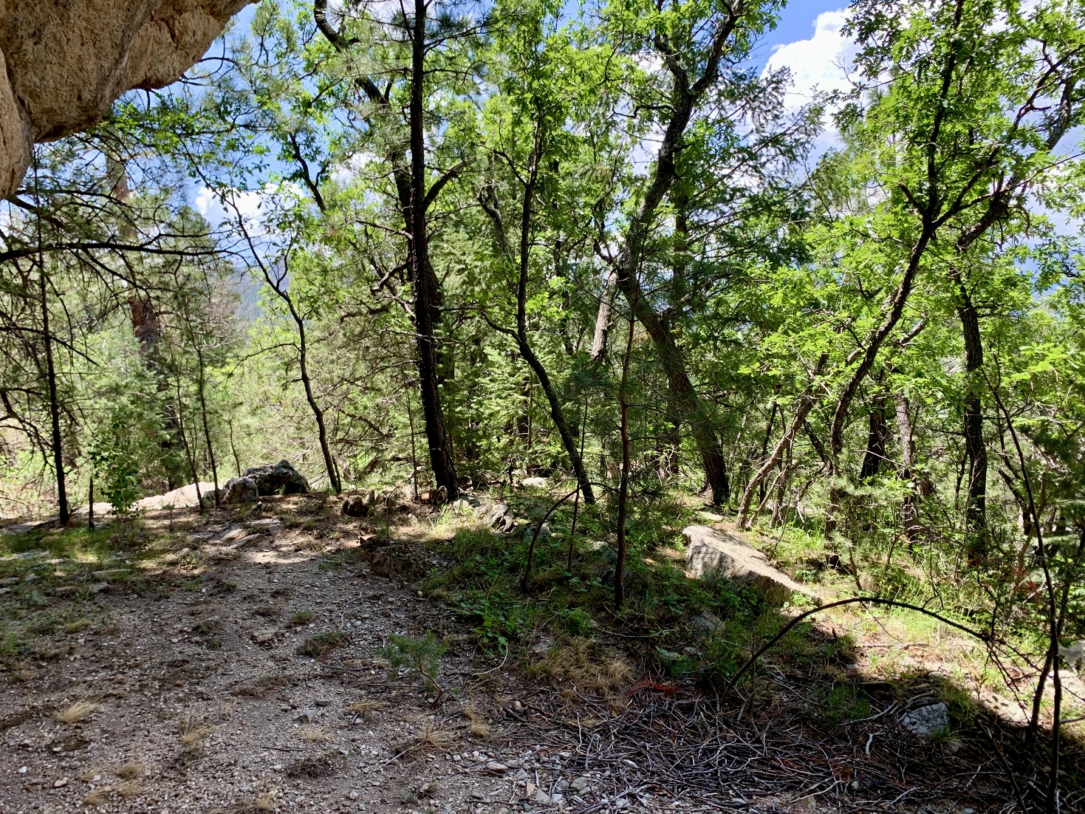 Romero Hills Ranch | Mora New Mexico | Fay Ranches