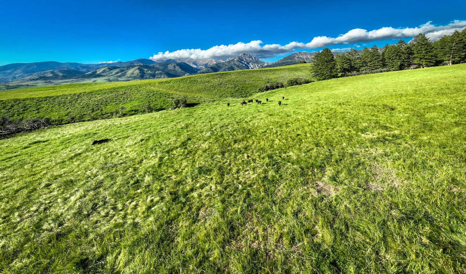 Windcall Ranch | Springhill Montana | Fay Ranches