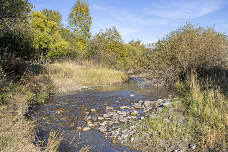 Deep Creek Wildlife Sanctuary | Townsend Montana | Fay Ranches