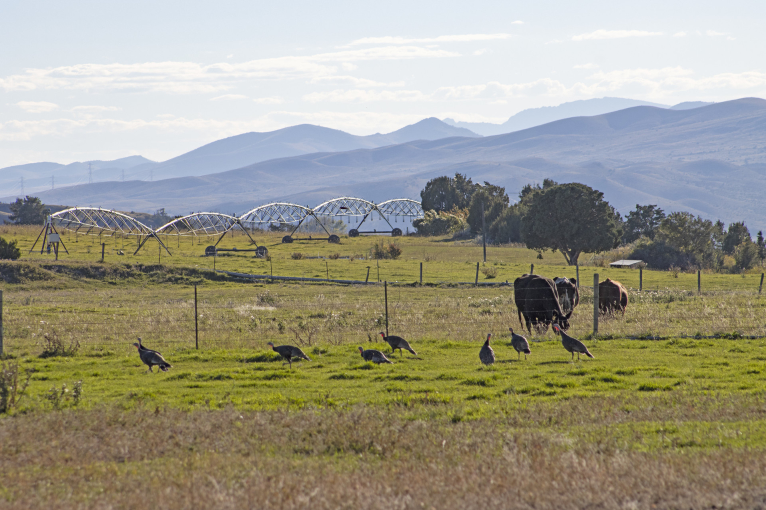 Deep Creek Wildlife Sanctuary | Townsend Montana | Fay Ranches