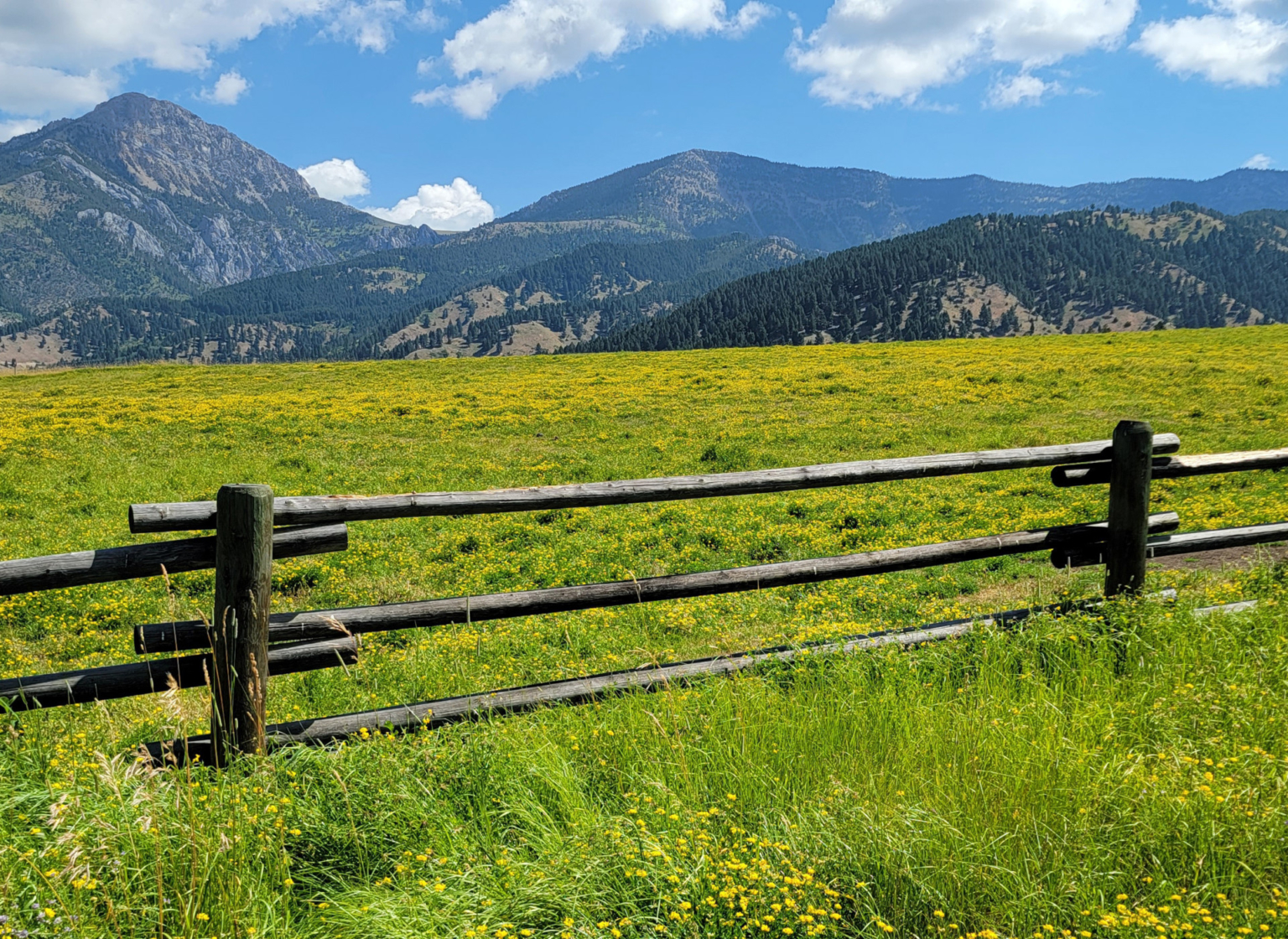 Windcall Ranch | Springhill Montana | Fay Ranches