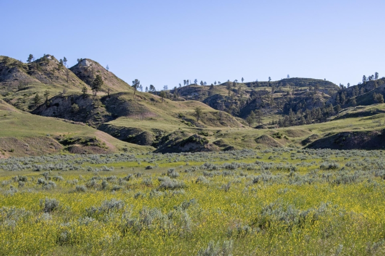 Missouri River Breaks Wolf Creek Ranch | Sand Springs Montana | Fay Ranches