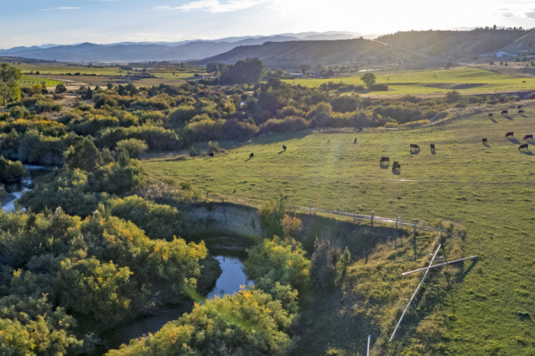 Montana Farm Land For Sale | Large Acreages | Fay Ranches
