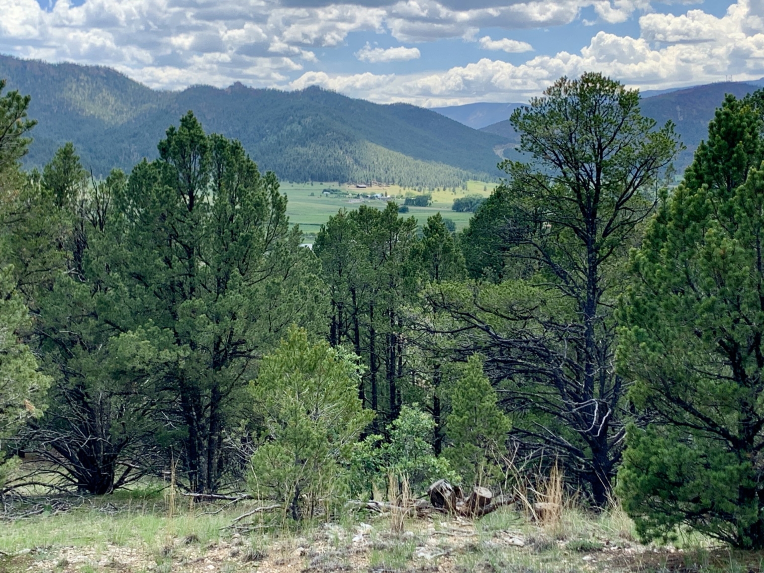 Romero Hills Ranch | Mora New Mexico | Fay Ranches