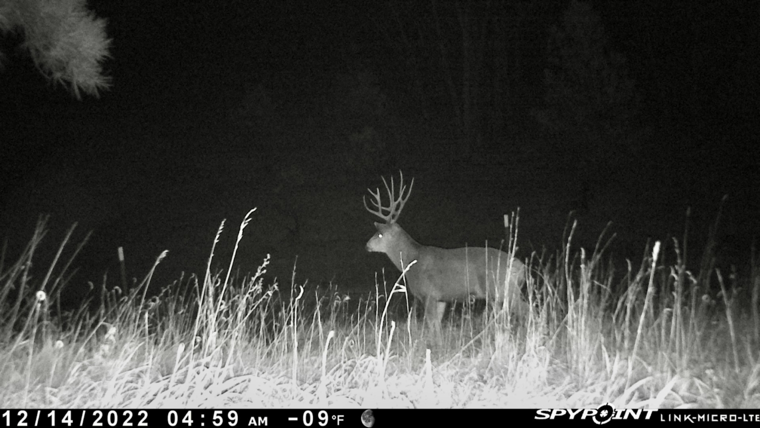 Rancho San Ignacio | Sapello New Mexico | Fay Ranches