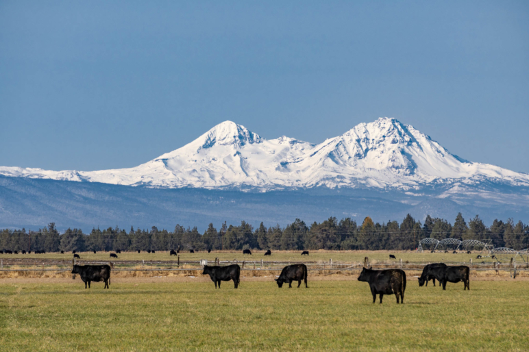 Green Grass Farm | Bend Oregon | Fay Ranches