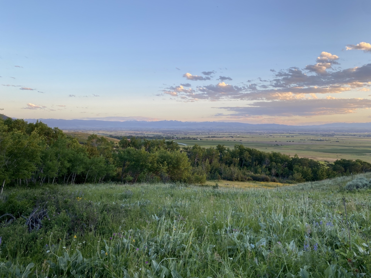 Limestone Cliff Ranch | Bozeman Montana | Fay Ranches
