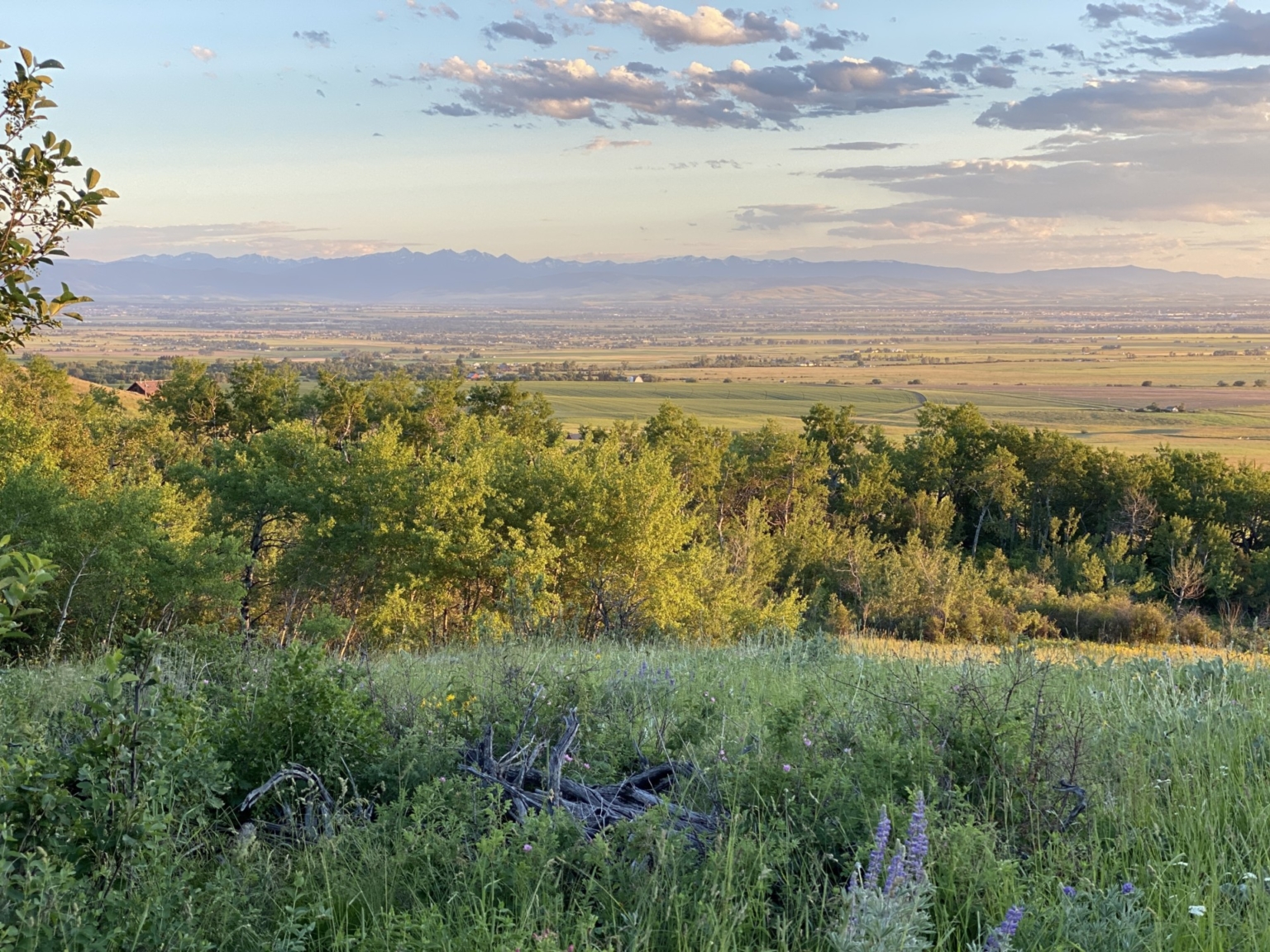 Limestone Cliff Ranch | Bozeman Montana | Fay Ranches