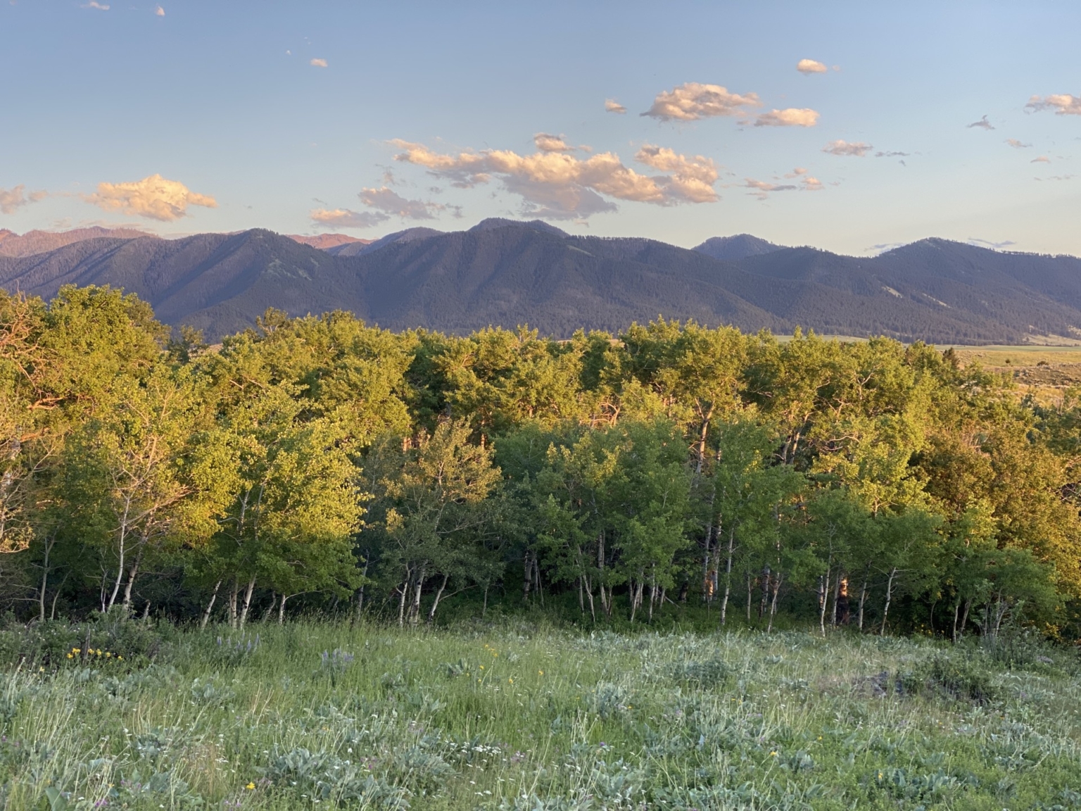 Limestone Cliff Ranch | Bozeman Montana | Fay Ranches