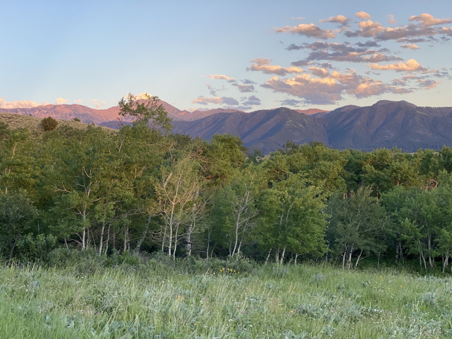 Limestone Cliff Ranch | Bozeman Montana | Fay Ranches