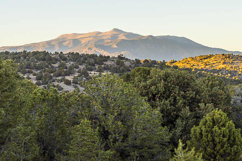 Fay Ranches | Brokering the Finest Ranches For Sale Coast to Coast