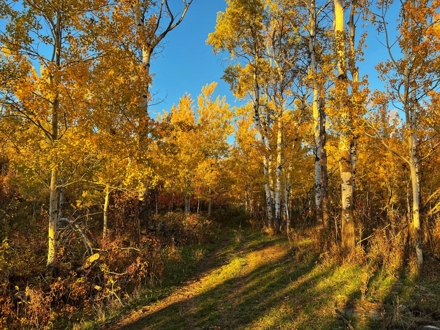 Limestone Cliff Ranch | Bozeman Montana | Fay Ranches