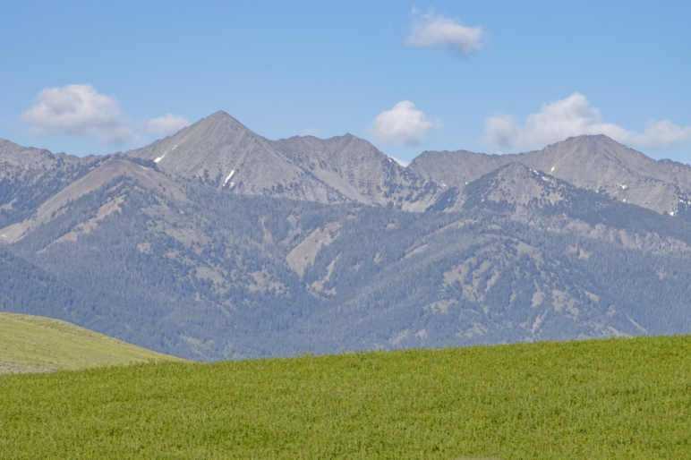 Elk Creek Ranch | Wilsall Montana | Fay Ranches