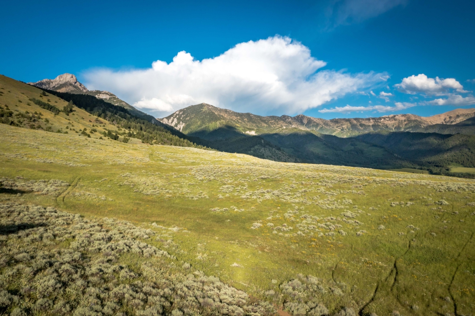 Bridger Foothills | Belgrade Montana | Fay Ranches