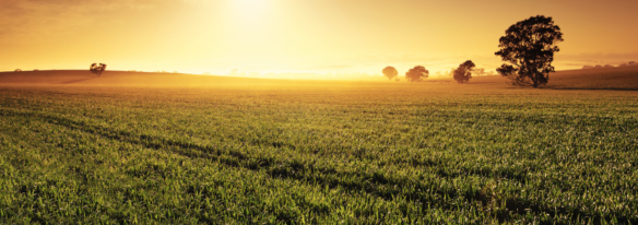 Tennessee Land For Sale | TN Real Estate, Homes, Farms | Fay Ranches