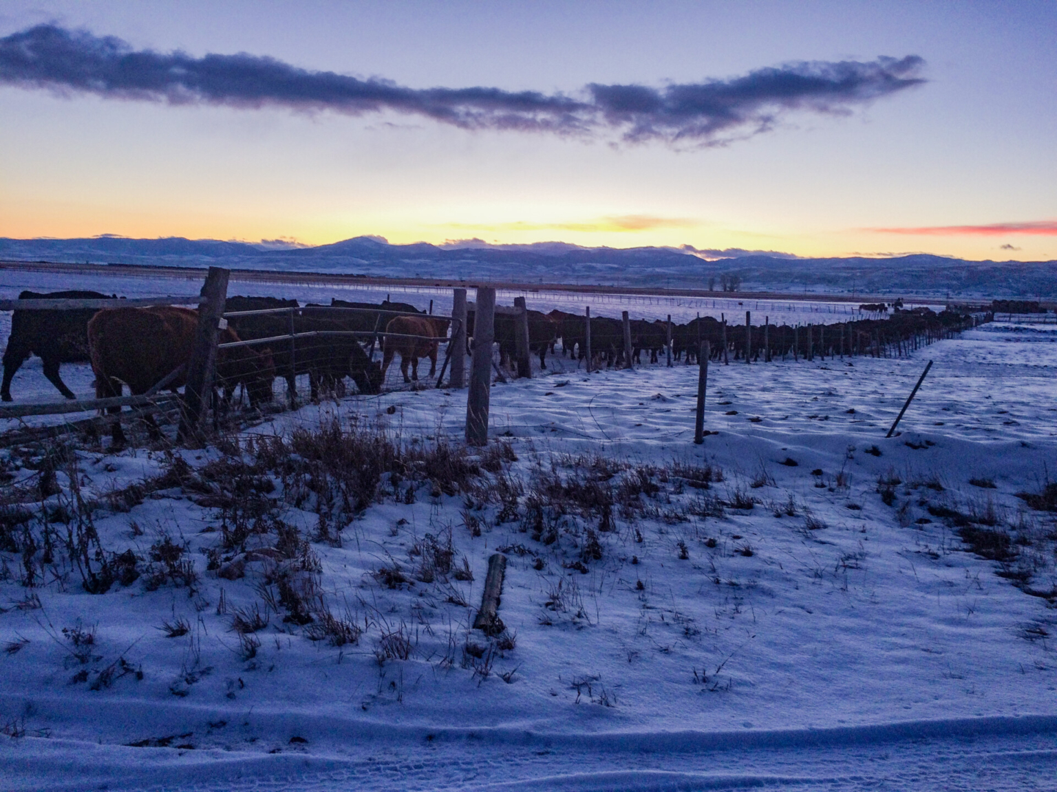 Diamond Heart Ranch | Montpelier Idaho | Fay Ranches