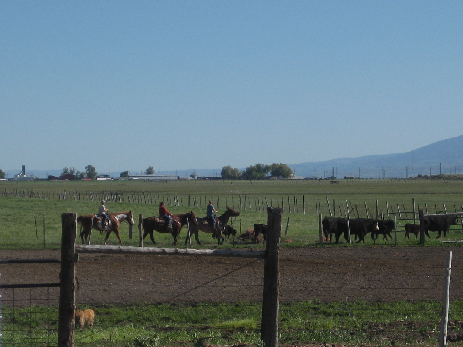 Diamond Heart Ranch | Montpelier Idaho | Fay Ranches