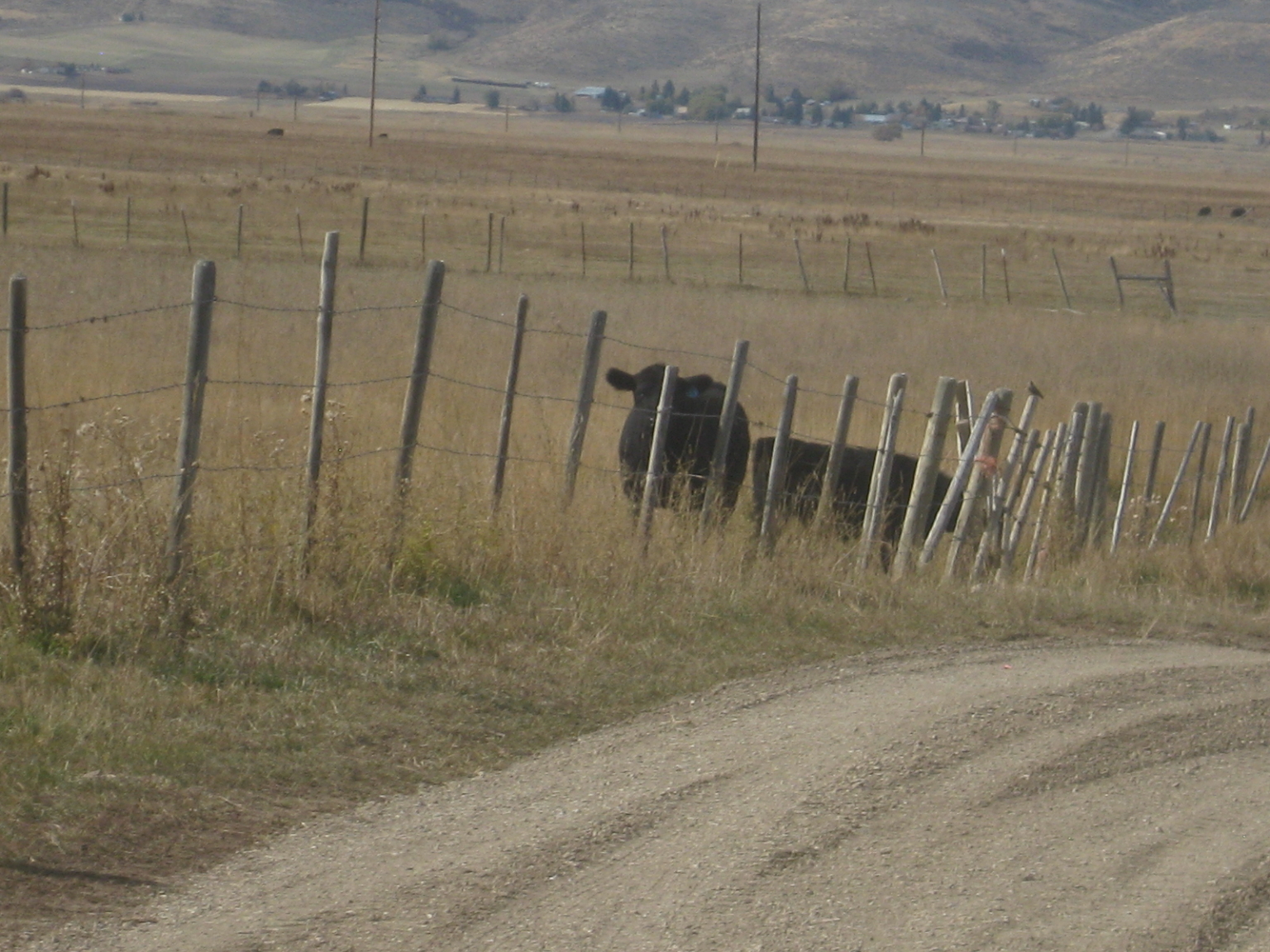 Diamond Heart Ranch | Montpelier Idaho | Fay Ranches