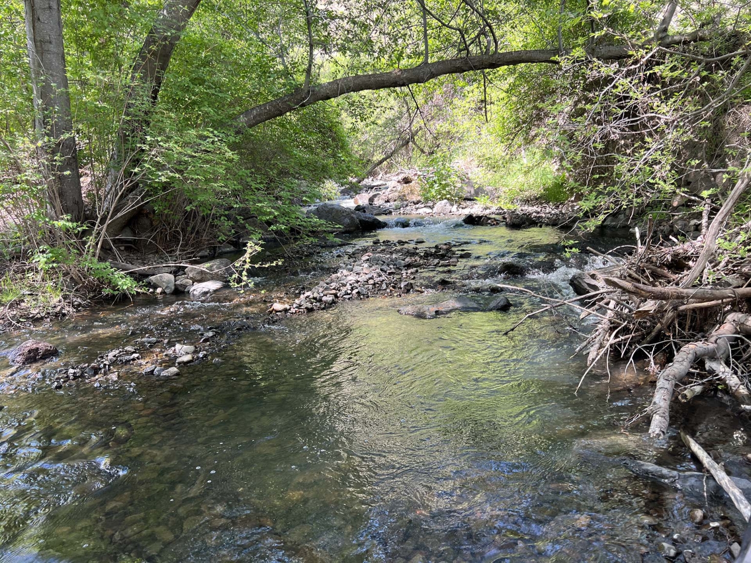 10 Mile Creek Ranch | Asotin Washington | Fay Ranches