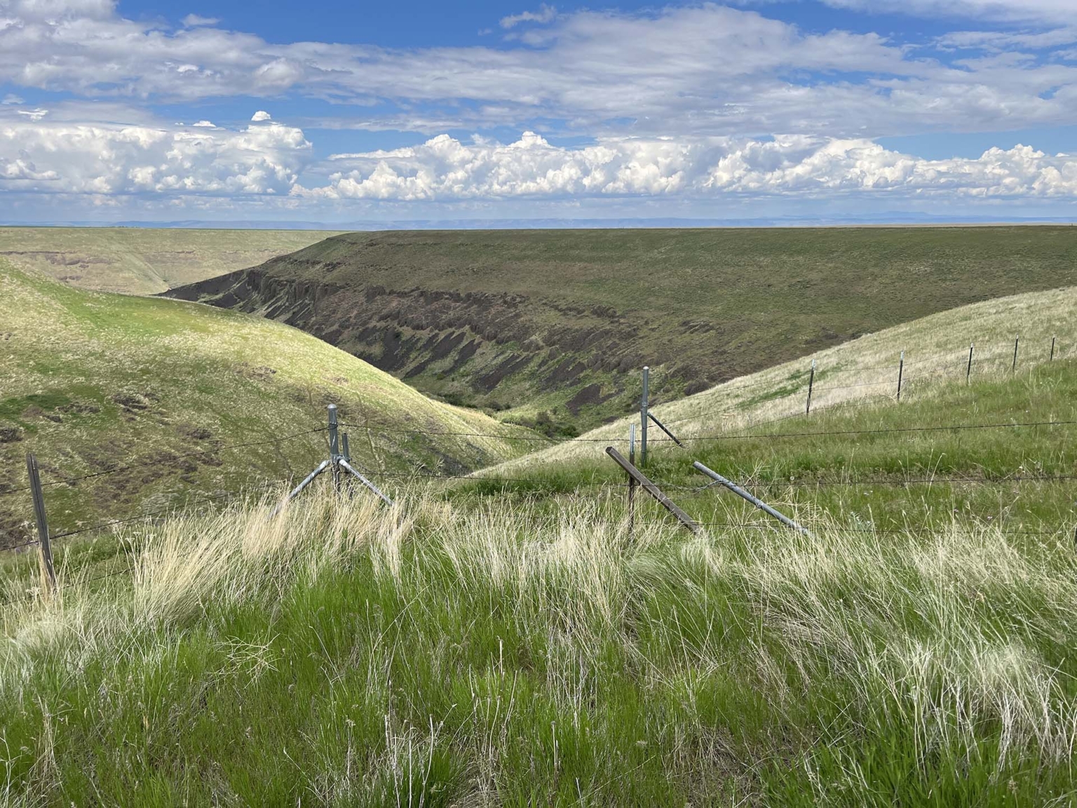 10 Mile Creek Ranch | Asotin Washington | Fay Ranches