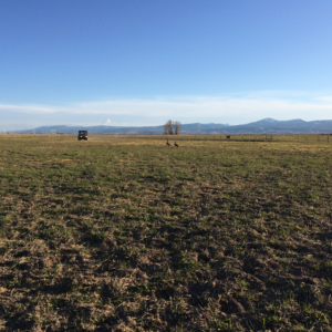 Diamond Heart Ranch | Montpelier Idaho | Fay Ranches