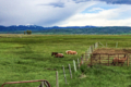 Black Rock Horse Ranch | Idaho Equestrian Property | Fay Ranches