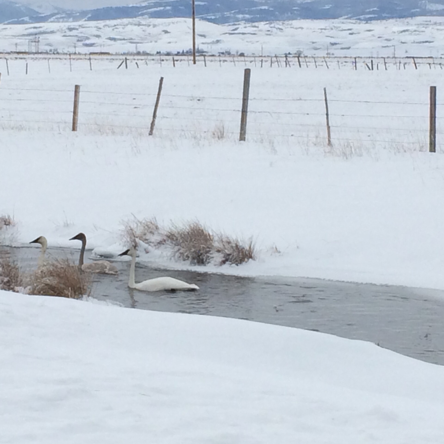 Diamond Heart Ranch | Montpelier Idaho | Fay Ranches