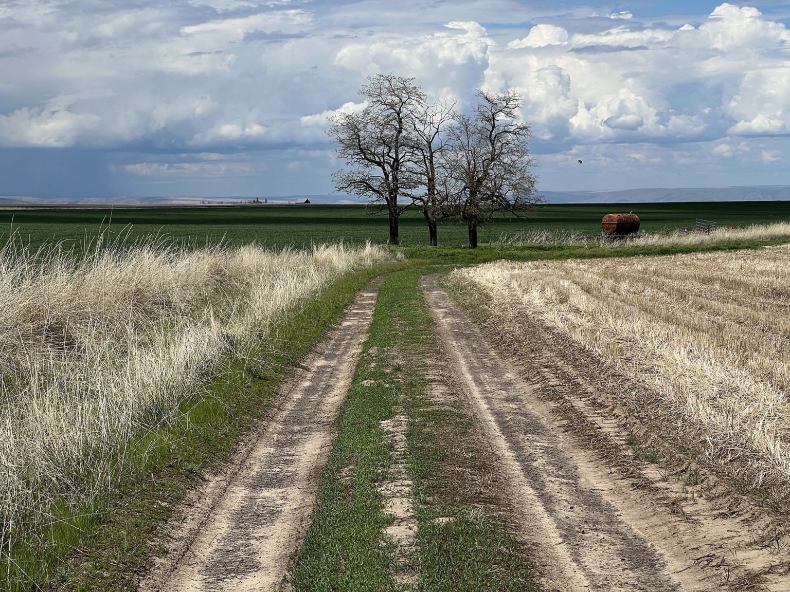 10 Mile Creek Ranch | Asotin Washington | Fay Ranches